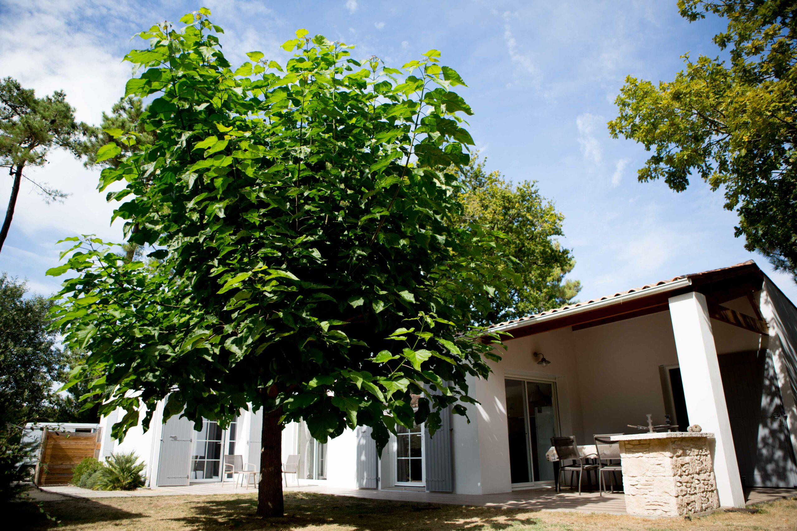 Villa l'Aigrette - Paradîles
